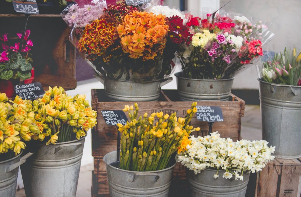 SHOP - Ladybug Flower Farm